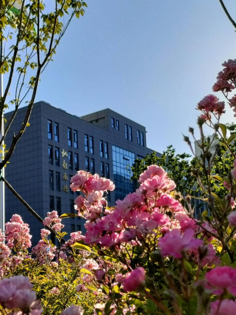 Shen Lab at Anhui Medical University