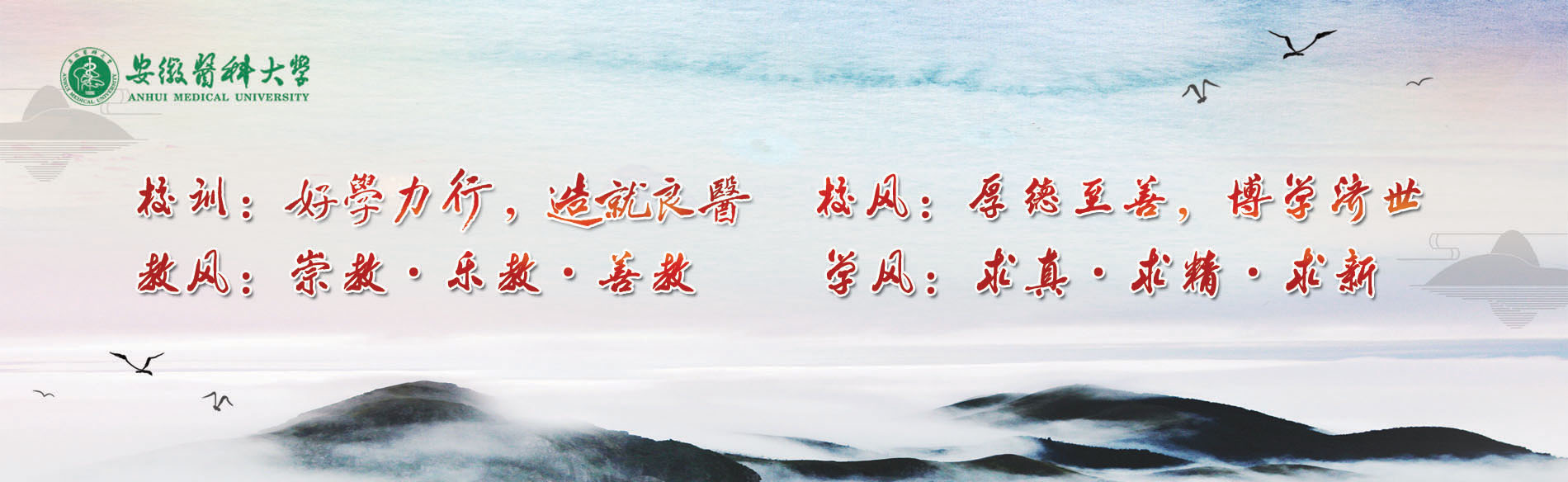 Shen Lab at Anhui Medical University